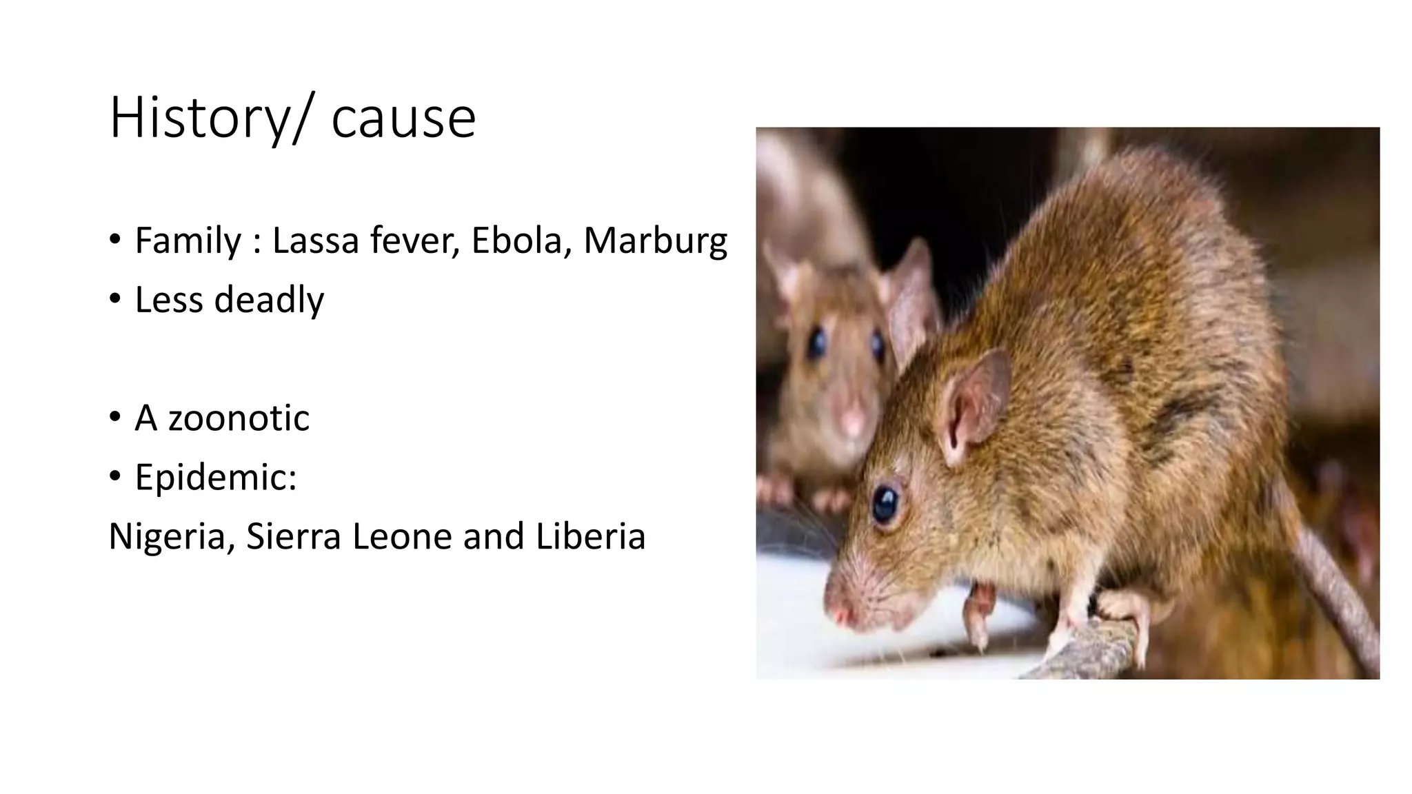 Lassa fever by Dr Afuye O.O. | PPT