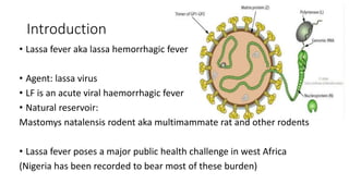 Lassa fever by Dr Afuye O.O. | PPT
