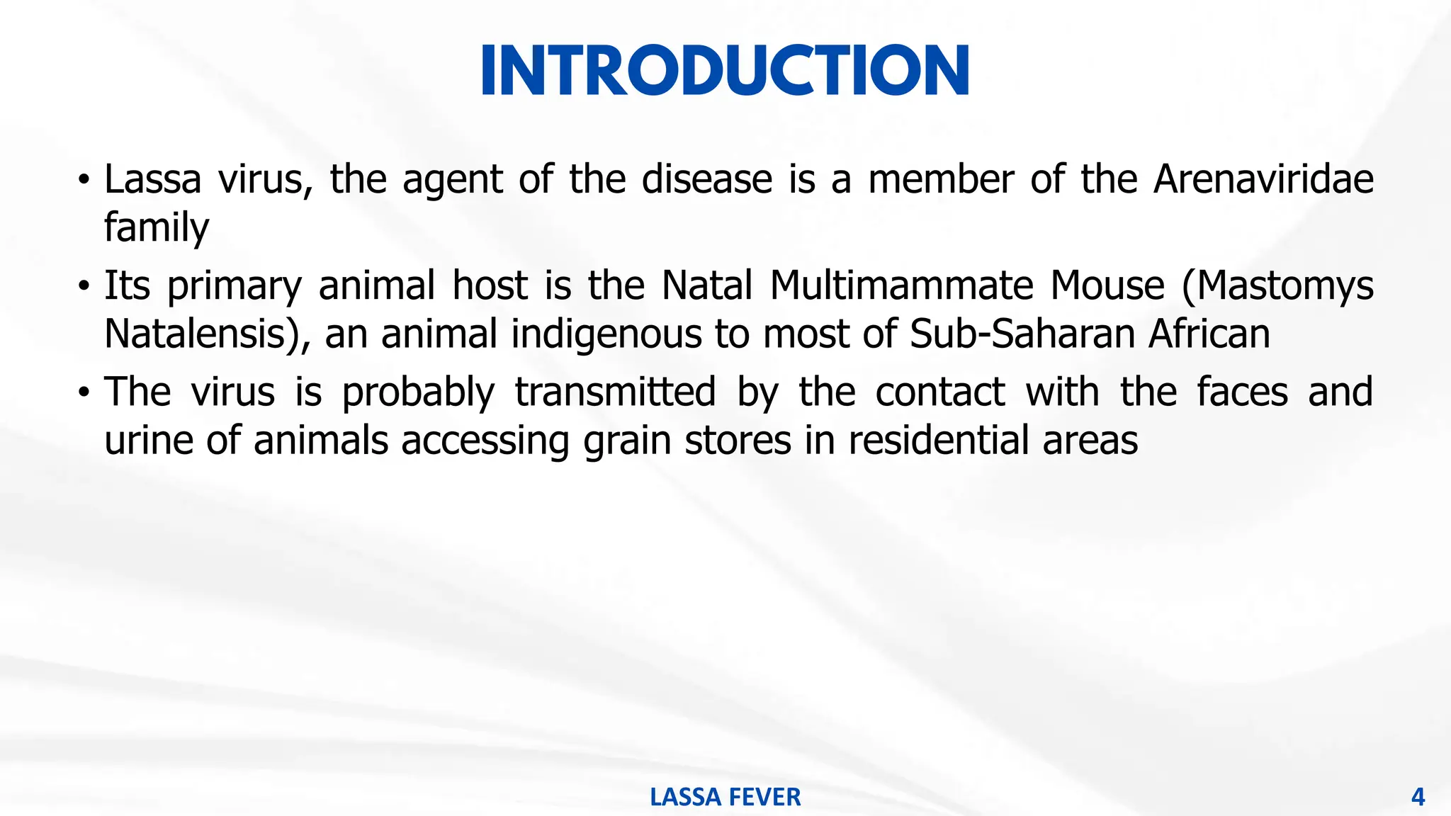 lassa fever.pptx