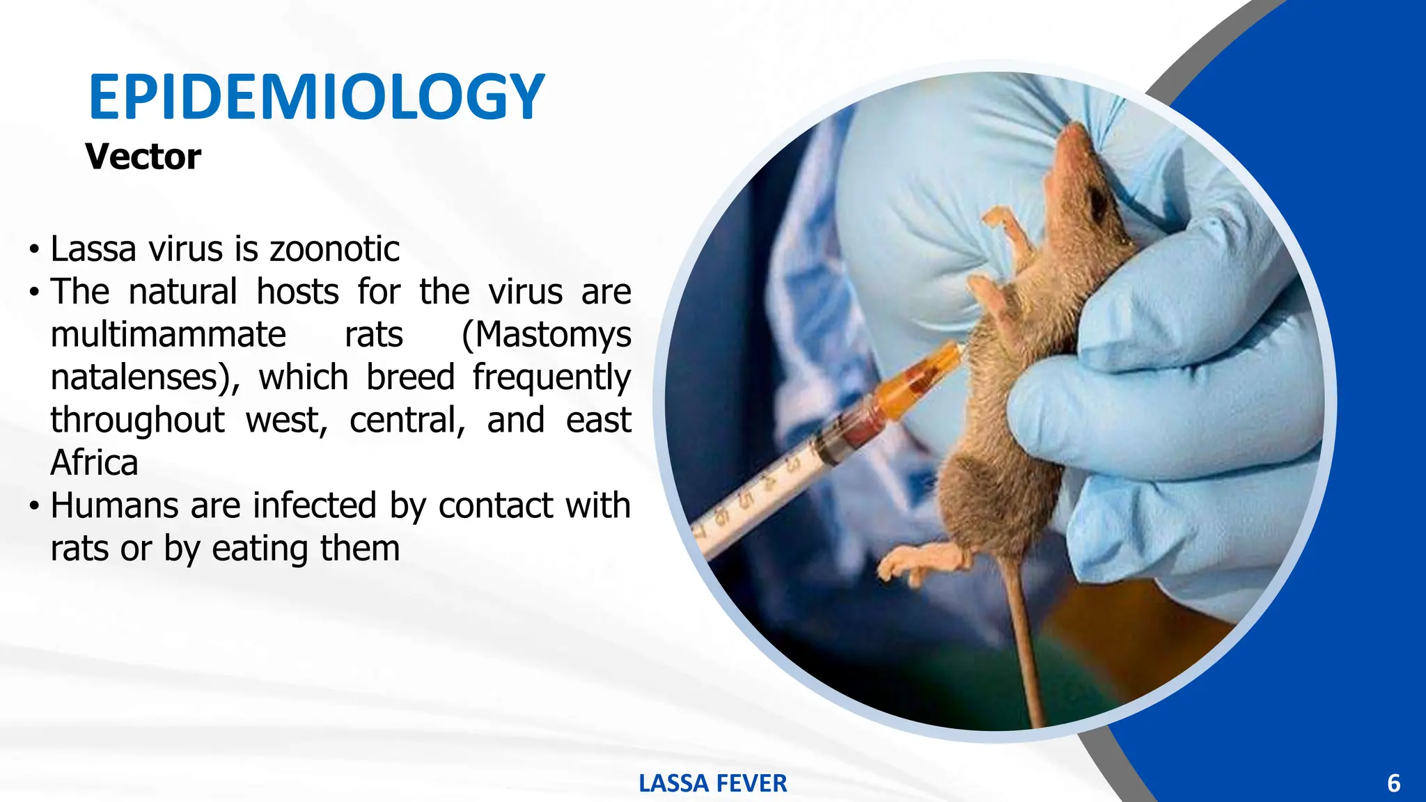 lassa fever.pptx