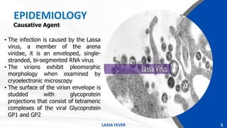 lassa fever.pptx
