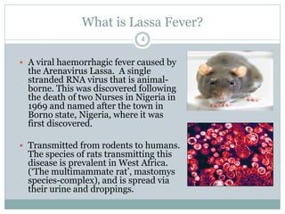 Lassa fever in nigeria | PPT