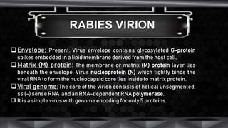 LYSSA VIRUS(RABIES) :Deadly neurotropic virus.pptx