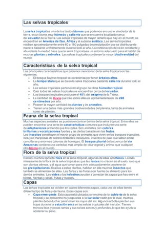 Las selvas tropicales | DOCX