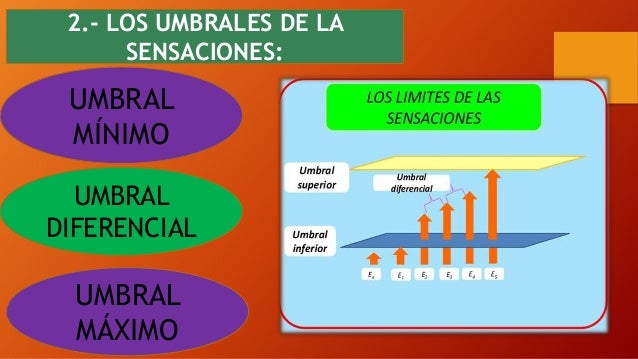 Las sensaciones