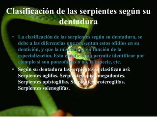 Las serpientes y su dentadura | PPTX