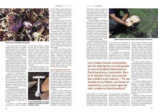 Las setas en Gran Canaria una guía para principiantes | PDF