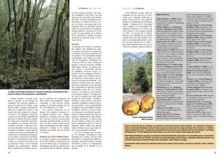 Las setas en Gran Canaria una guía para principiantes | PDF