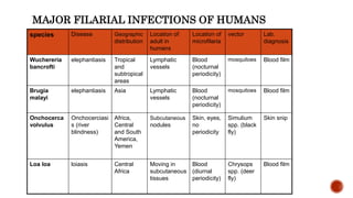 Introduction to Tissue Nematodes and Filarial Worms | PPTX