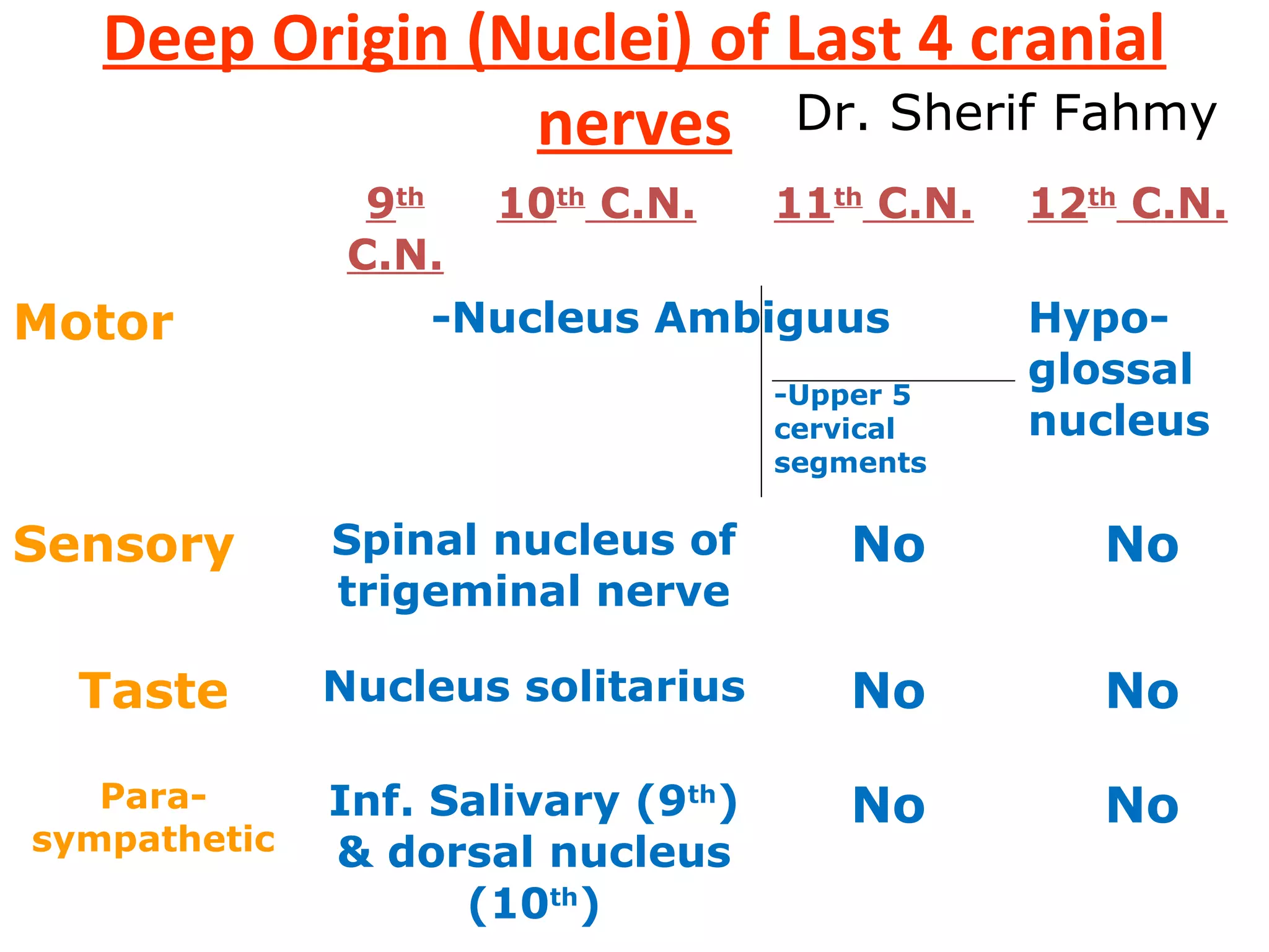 Last 4 Cranial Nerves (Anatomy of the Neck) | PPS