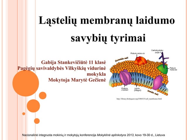 Lasteliu membranu laidumo tyrimas | PPT