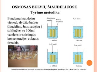 Lasteliu membranu laidumo tyrimas | PPT