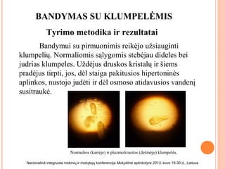 Lasteliu membranu laidumo tyrimas | PPT