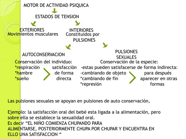 Las teorias sobre el desarrollo. juan delval | PPT