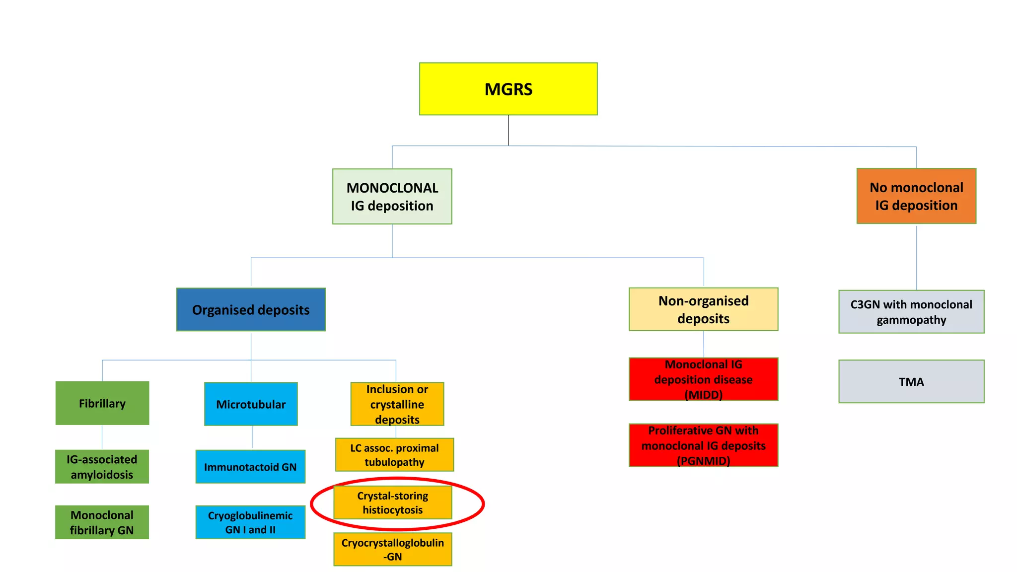 Monoclonal Gammopathy and Renal Disease | PPTX
