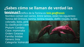Las Toninas, especie en peligro de extinción en Venezuela | PPTX