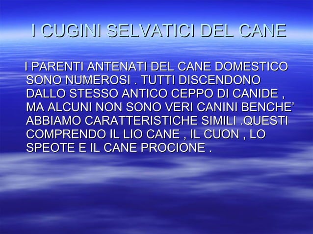 La storia del cane | PPT