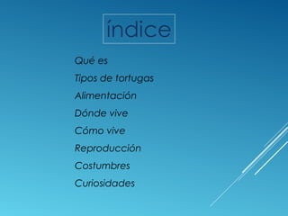 Las tortugas marinas | PPT