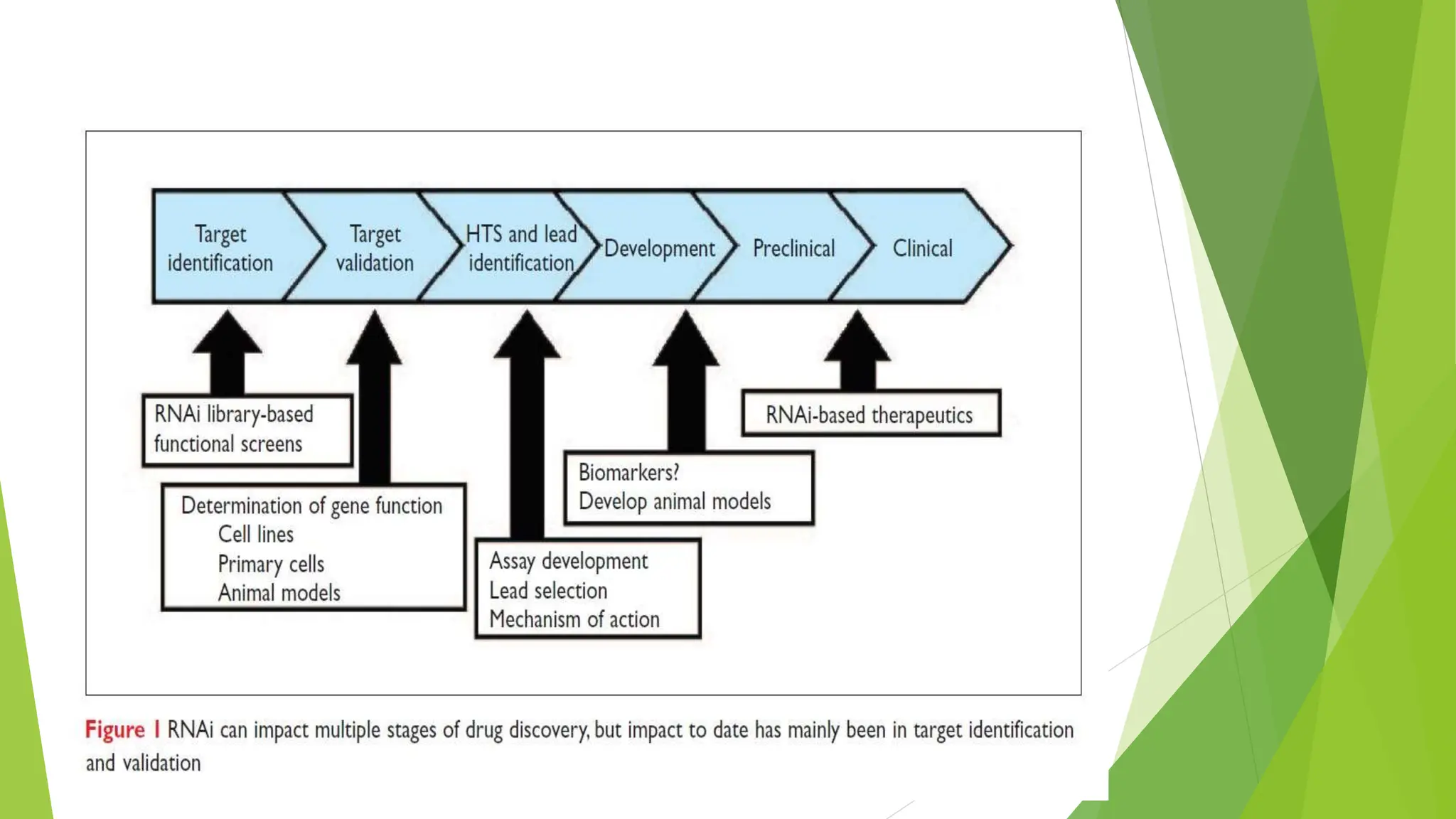RNA based therapeutic: Paradigms shift in drug discovery and delivery ...