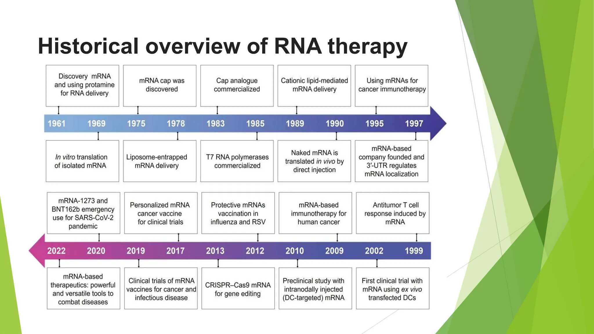 RNA based therapeutic: Paradigms shift in drug discovery and delivery ...