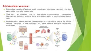 RNA based therapeutic: Paradigms shift in drug discovery and delivery ...
