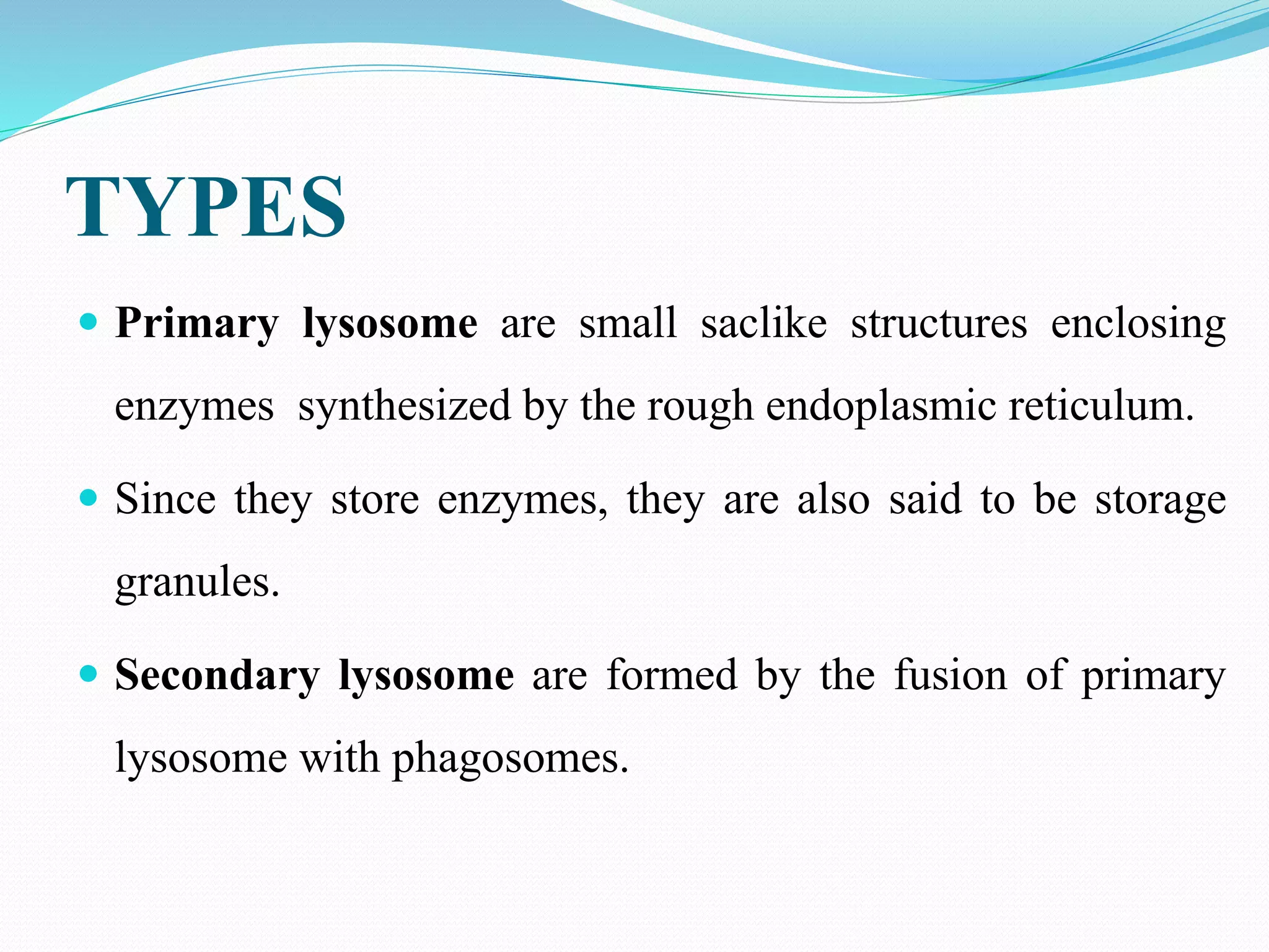 Lysosome | PPTX