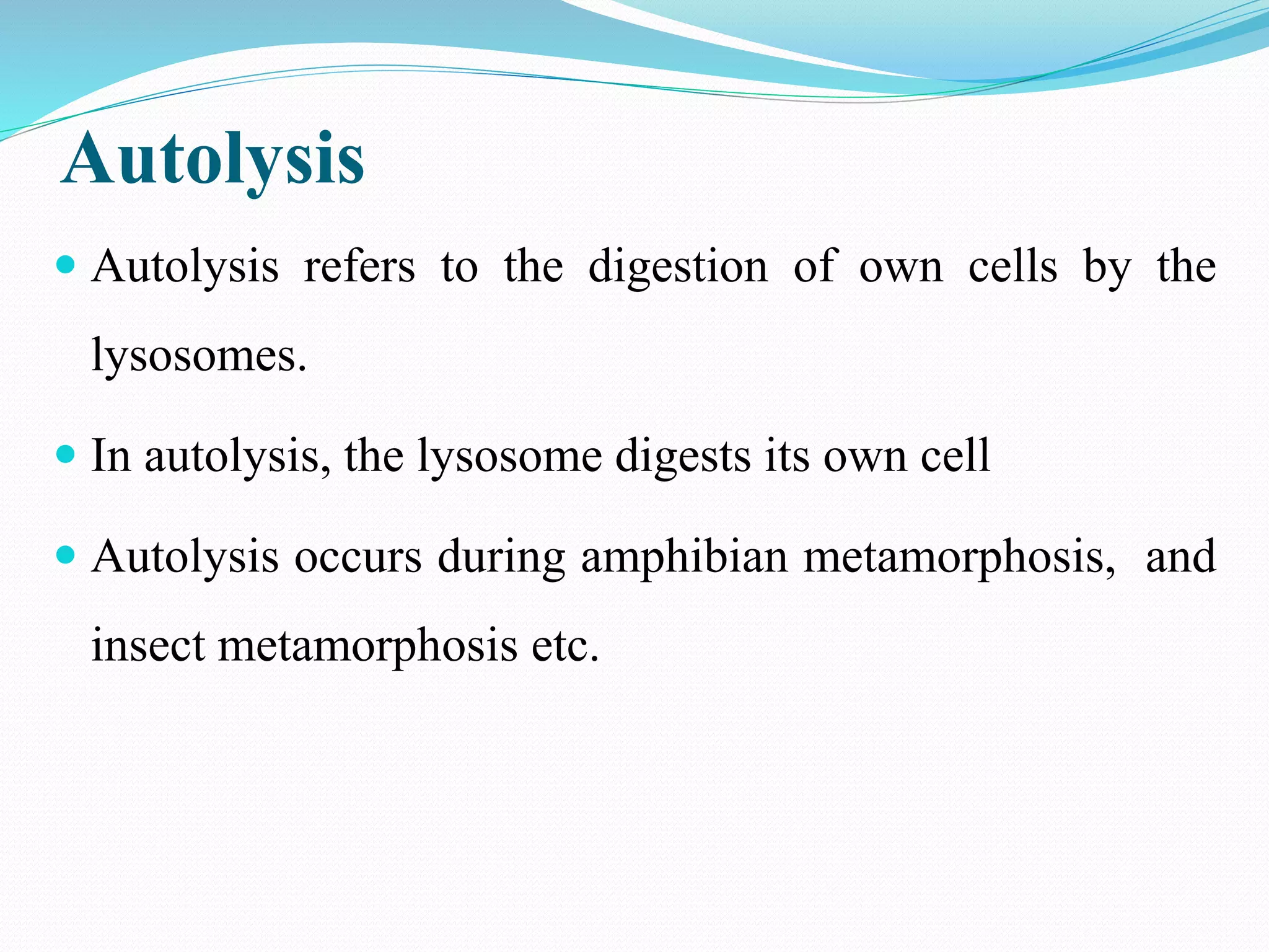 Lysosome | PPTX