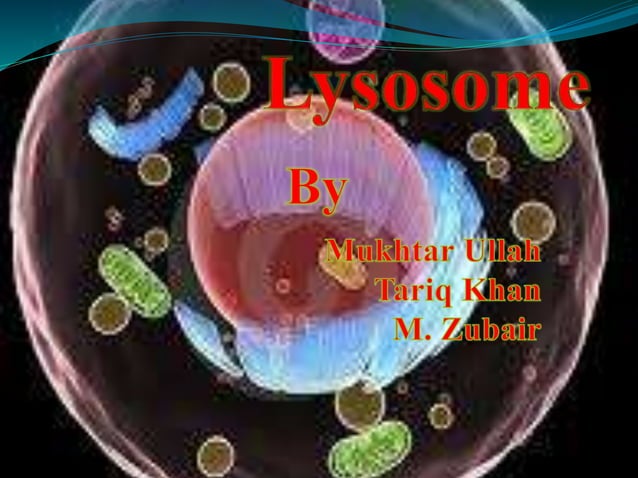 Lysosome | PPTX