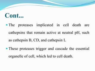 Lysosome | PPTX