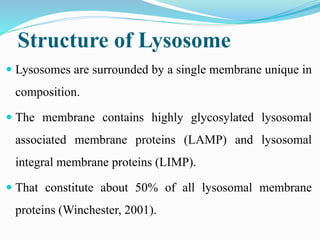 Lysosomes Structure