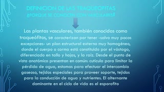 Las traqueofitas en Biologia como estudio.pdf