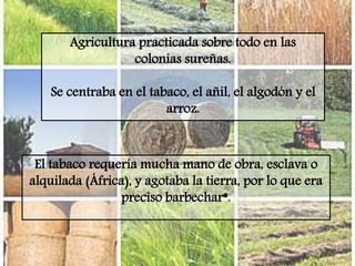 La independencia de las trece colonias inglesas | PPTX