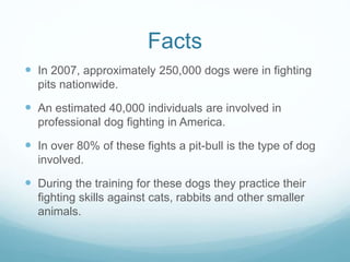 Dog Fighting | PPTX