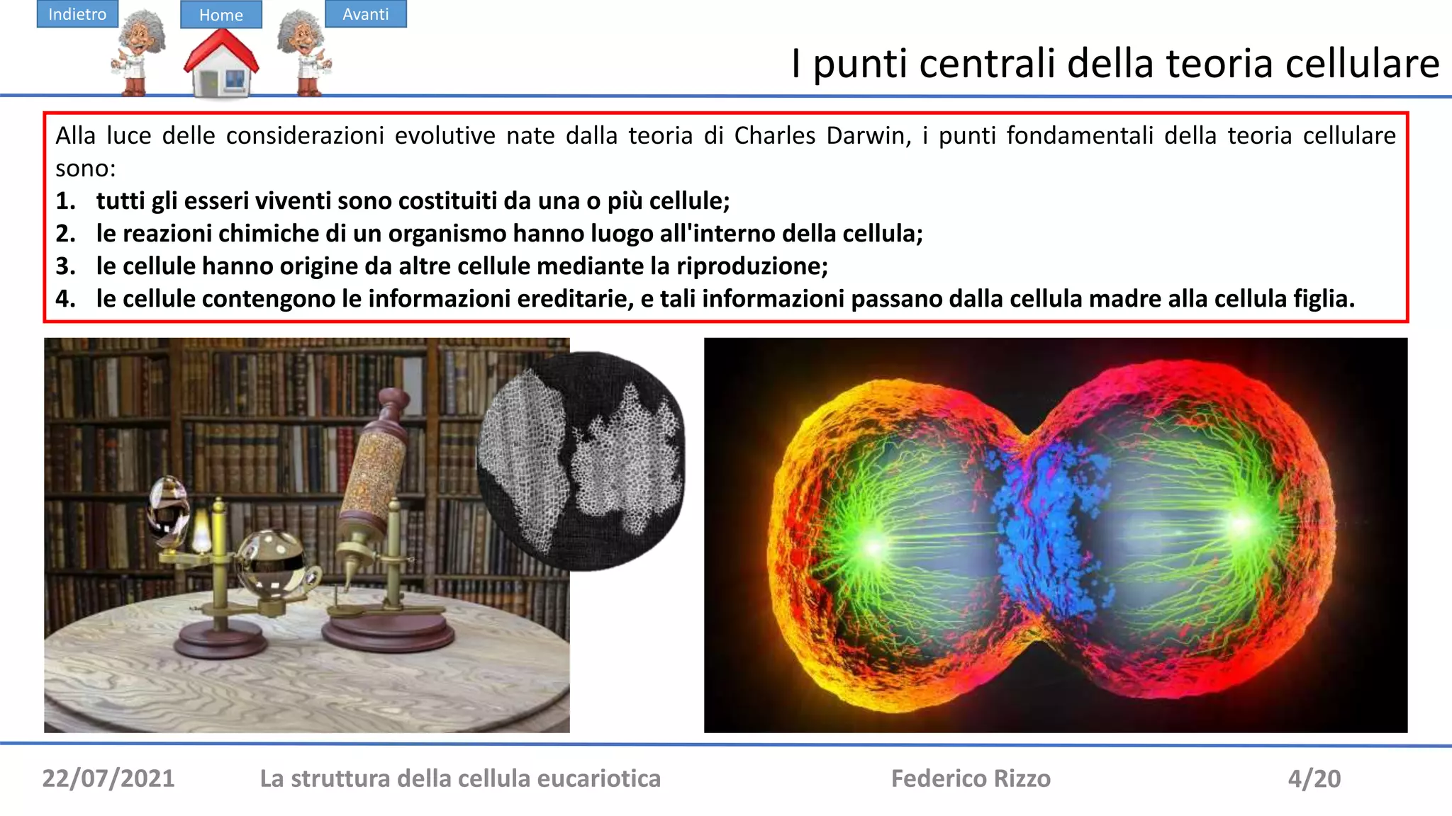 La struttura della cellula eucariotica | PPTX | Biological Sciences | Science