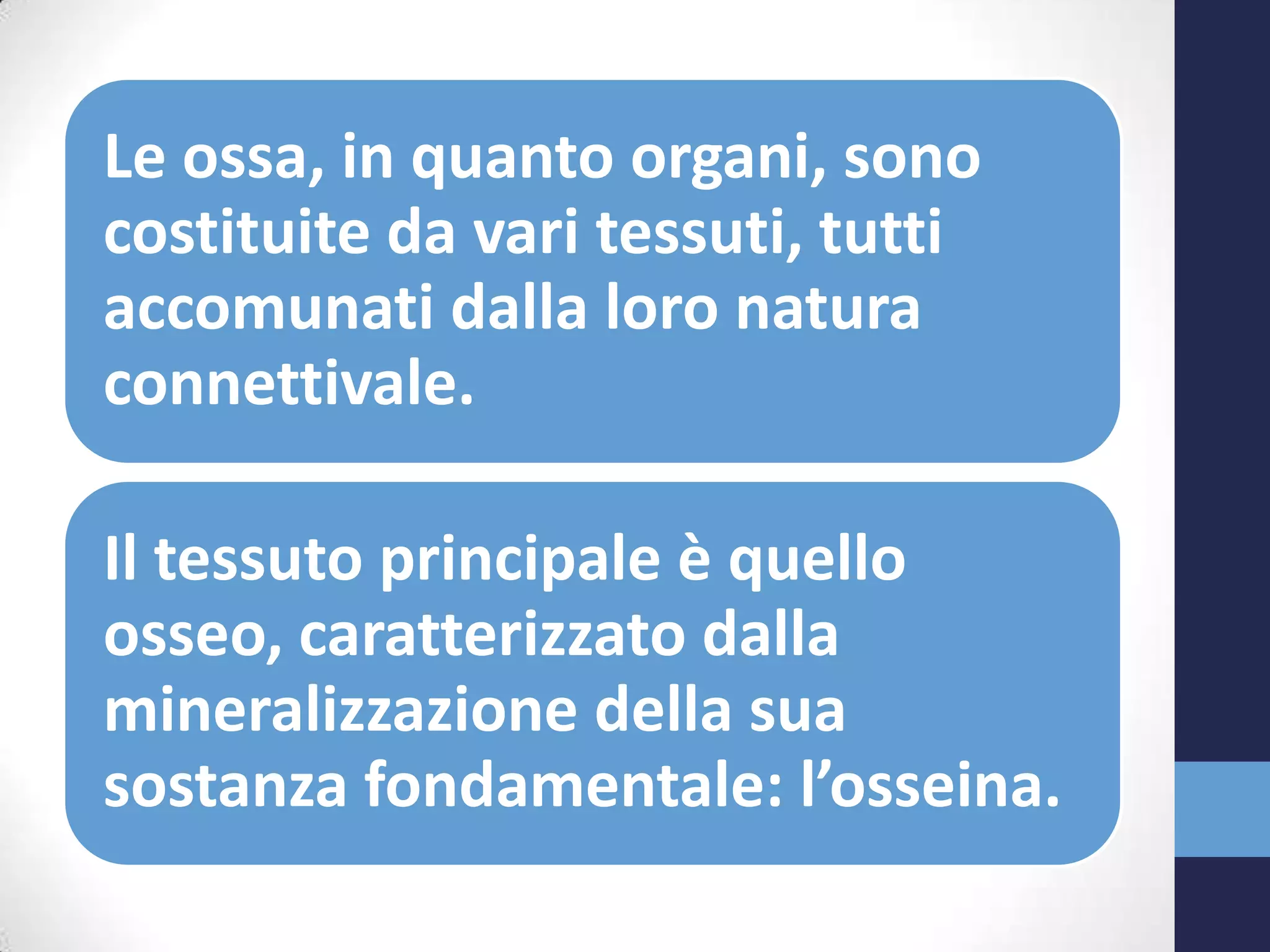 La struttura delle ossa | PPTX