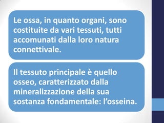 La struttura delle ossa | PPTX