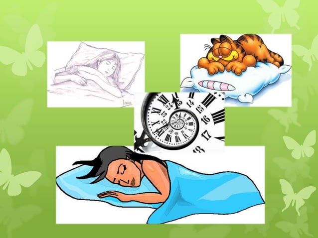 My Last Weekend | PPT