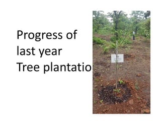 Vivek Tree Plantation and Adoption | PPTX