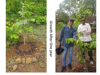 Vivek Tree Plantation and Adoption | PPTX | Gardening | Home & Garden