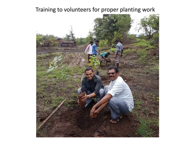 Vivek Tree Plantation and Adoption | PPTX