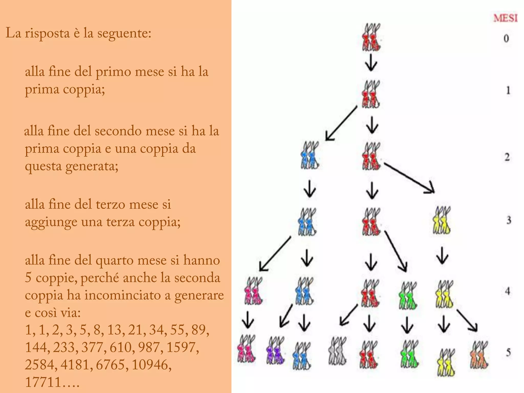 La successione di Fibonacci e la proporzione aurea | PDF