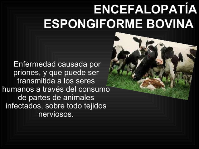 Enfermedad de las Vacas Locas | PPT