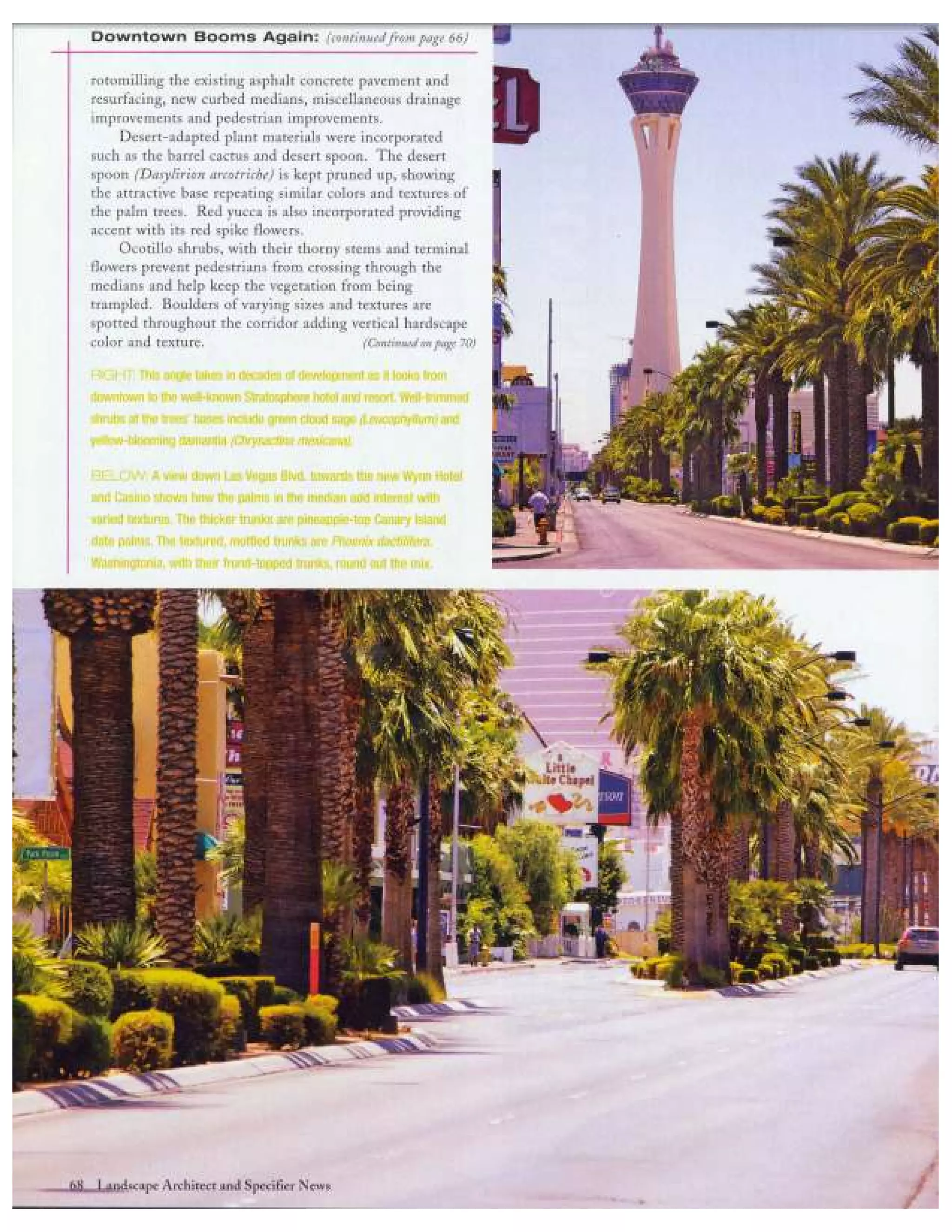 LASN Article - Las Vegas 2006 | PDF