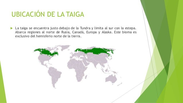 La taiga