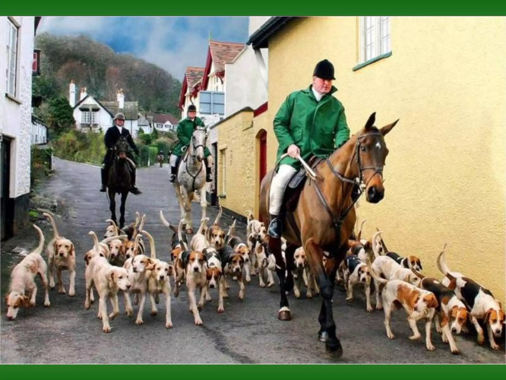 La tara in Anglia, Japonia, Portugalia si Romania | PPS