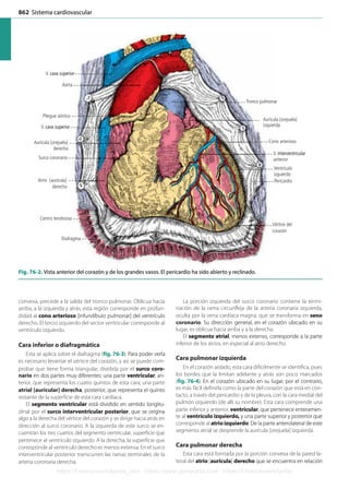 Latarjet Anatomia Humana 5a Tomo 2 2019pdf