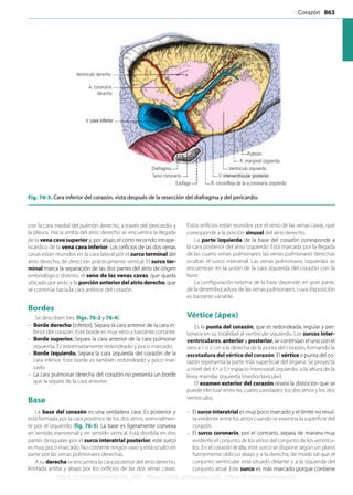 latarjet-anatomia-humana-5a-tomo-2-2019.pdf