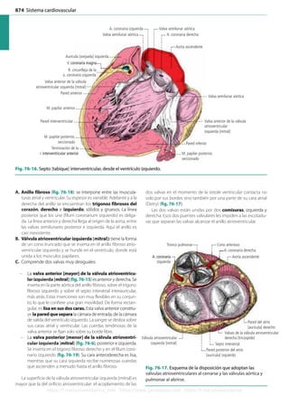 latarjet-anatomia-humana-5a-tomo-2-2019.pdf