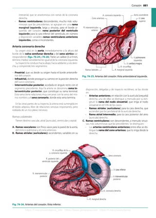 latarjet-anatomia-humana-5a-tomo-2-2019.pdf