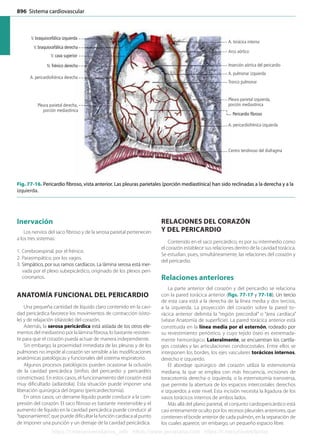 latarjet-anatomia-humana-5a-tomo-2-2019.pdf